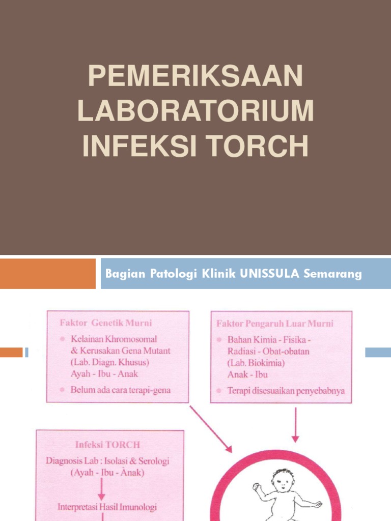 Pemeriksaan Laboratorium Infeksi Torch | PDF