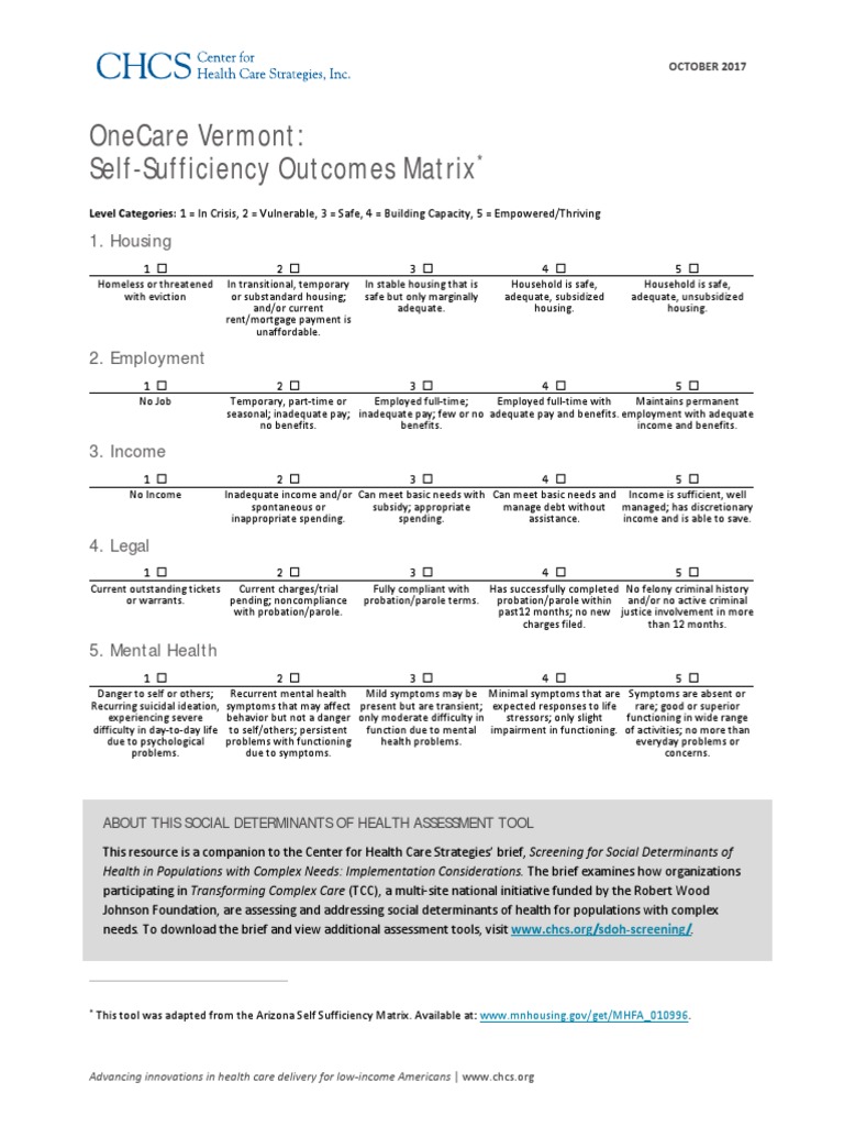 Self-Sufficiency Matrix Guide | PDF | Substance Abuse | Chronic Condition