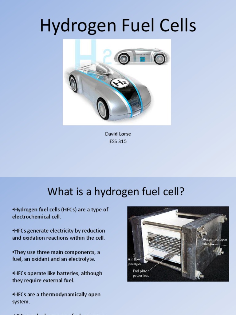 Hydrogen Fuel Cells | PDF | Fuel Cell | Redox