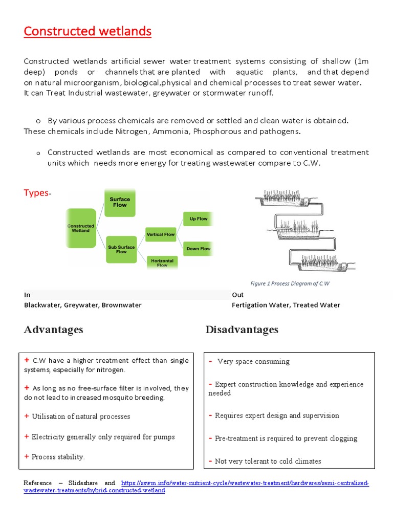 Constructed Wetlands for Wastewater Treatment | PDF