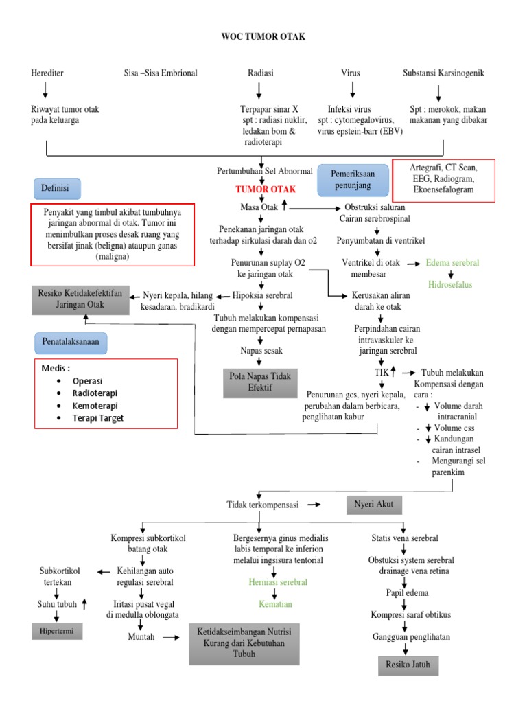 Woc Tumor Otak Kel 3 | PDF
