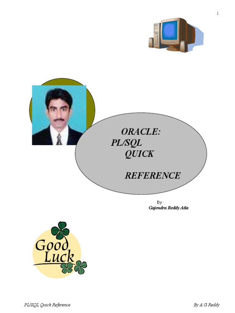Pl Sql Quick Reference Pdf Pl Sql Parameter Computer Programming