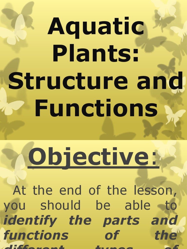Aquatic Plants: Structure and Functions | Download Free PDF | Root | Plants