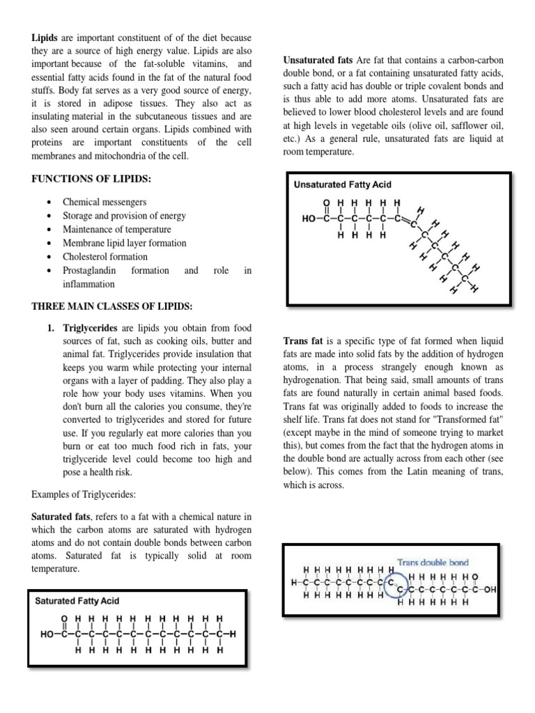 Functions of Lipids | PDF | Lipid | Fat