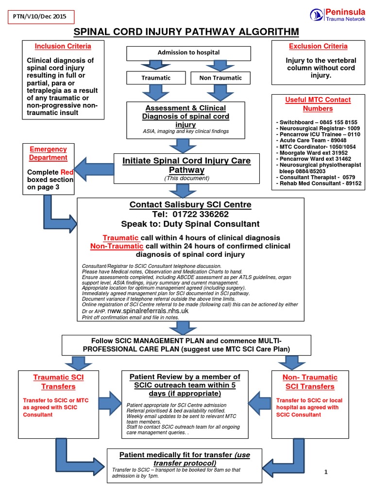 Spinal Cord Injury Care Pathway V10 Final PDF Version | PDF | Rectum ...