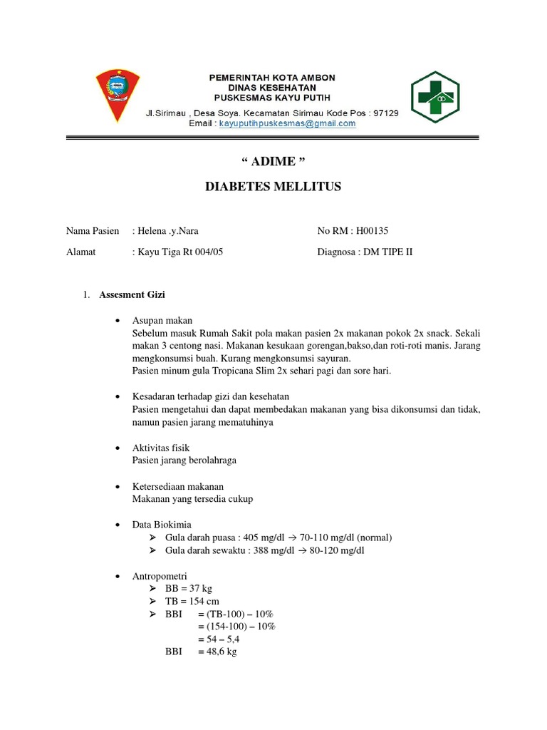 Adime Pasien DM Tipe II Ica | PDF
