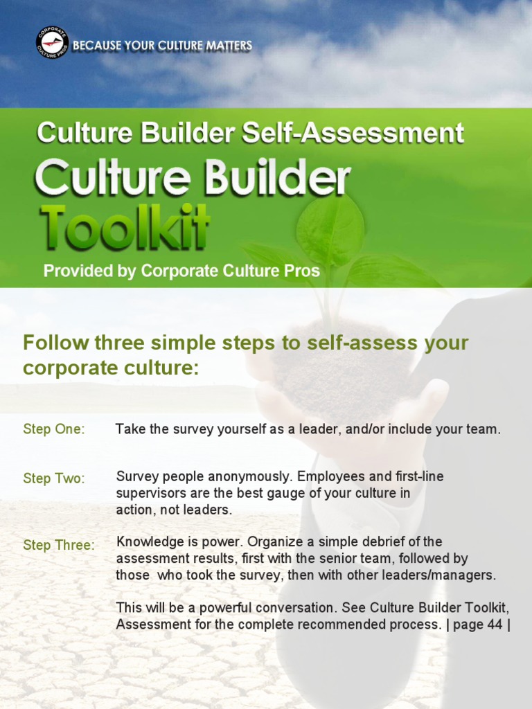Culture Builder Toolkit Assessment | PDF | Goal | Leadership