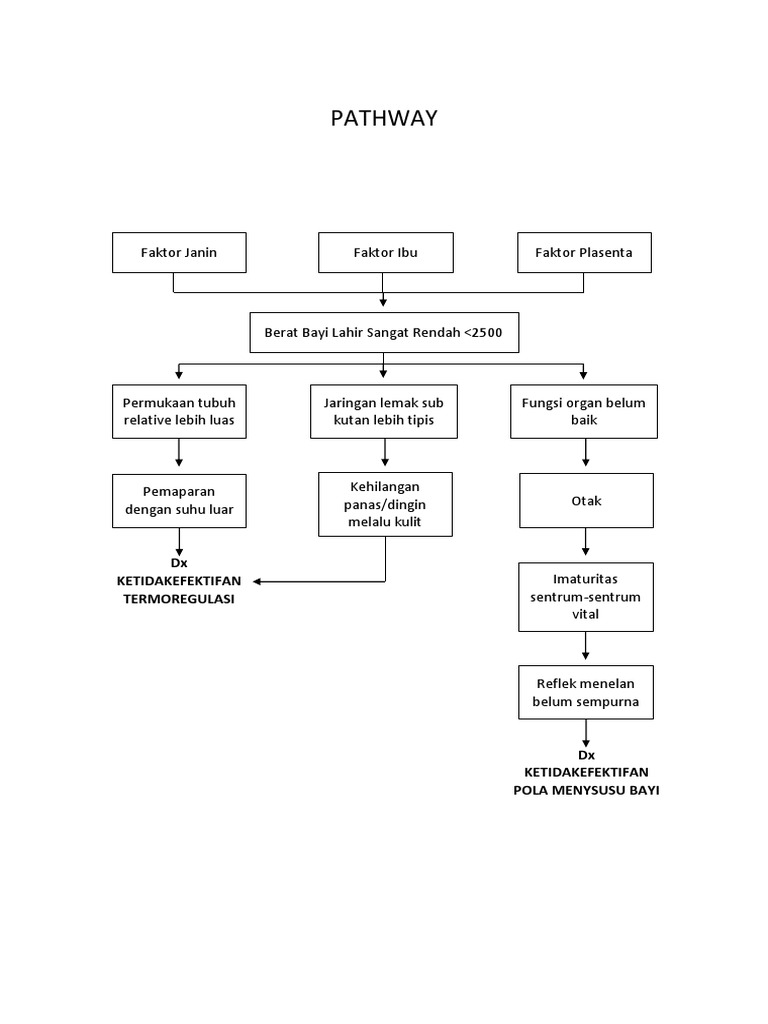 Pathway Termoregulasi Bayi Baru Lahir | PDF
