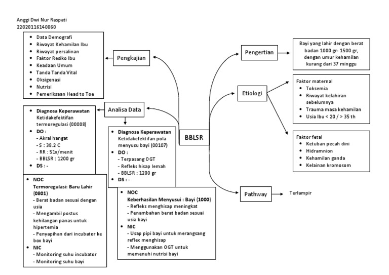 Mind Map | PDF | Kesehatan Holistik