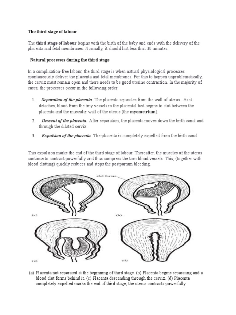 3rd Stage of Labour | PDF | Childbirth | Placenta
