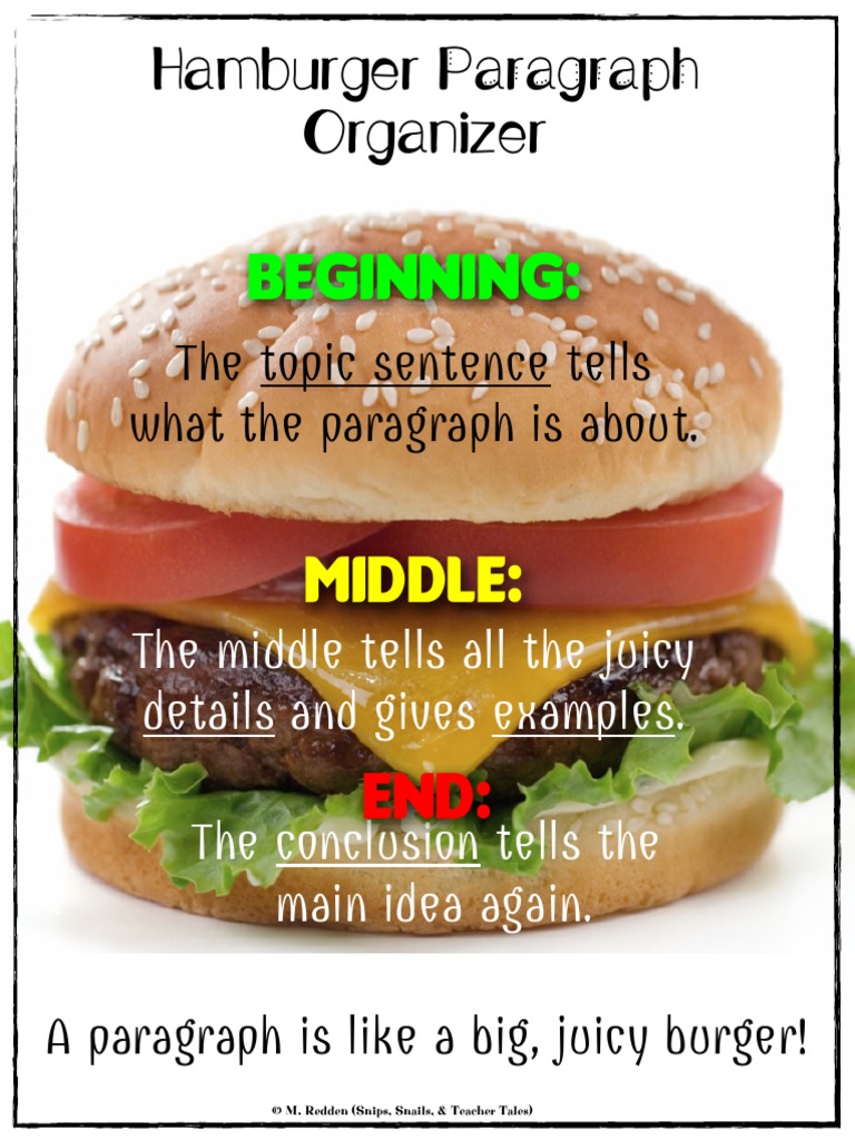 Burger Paragraph Organizer | PDF | Internet | World Wide Web