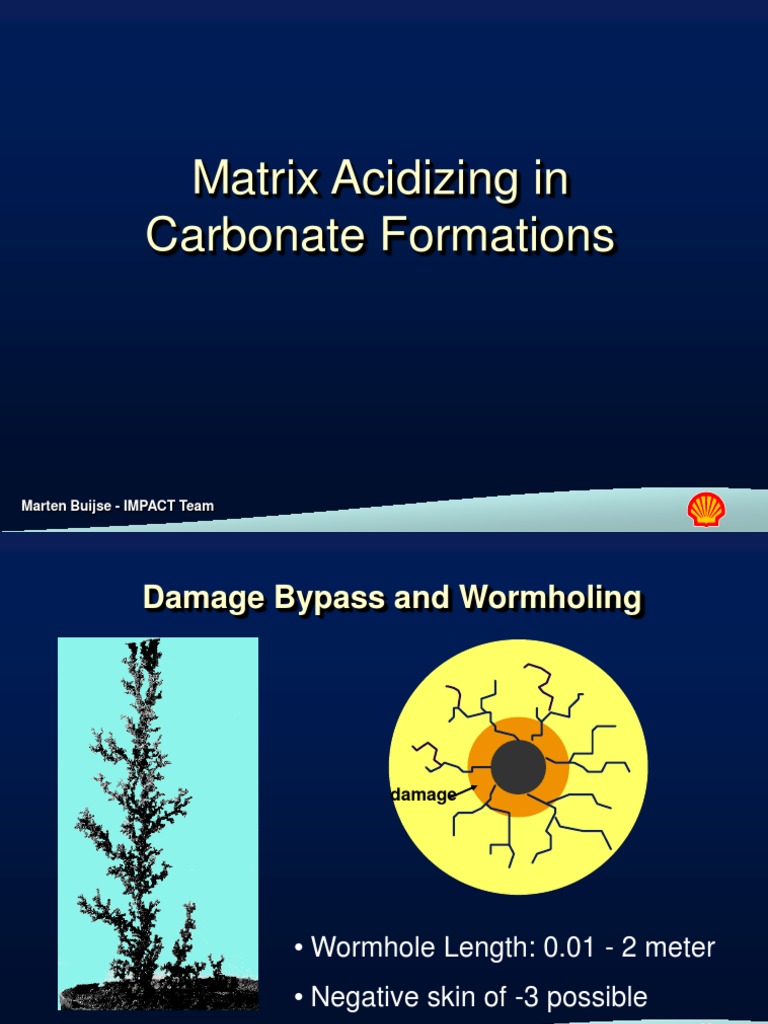 Matrix Acidizing in Carbonate Formations: Marten Buijse - IMPACT Team ...