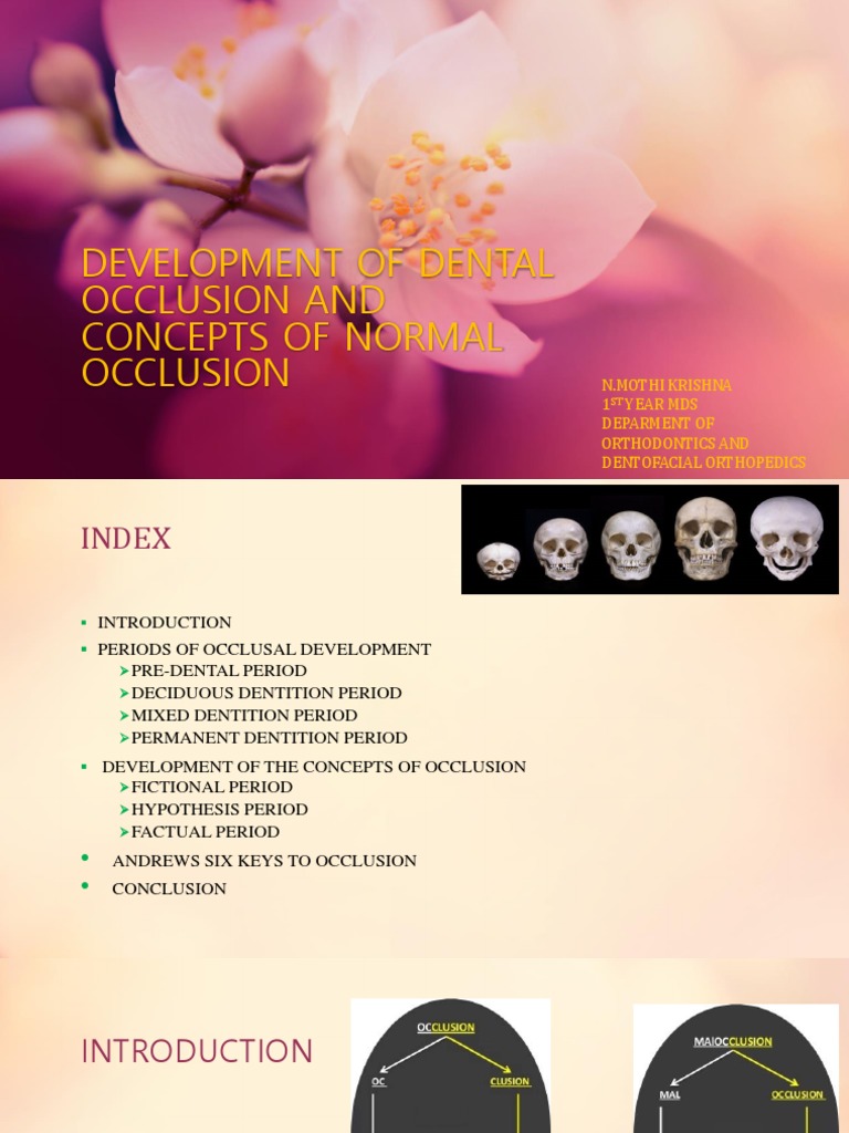 Development of Dental Occlusion | PDF | Tooth | Mouth