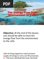 Radiogenic Heat. Primordial Heat Is The Internal Heat Energy That ...