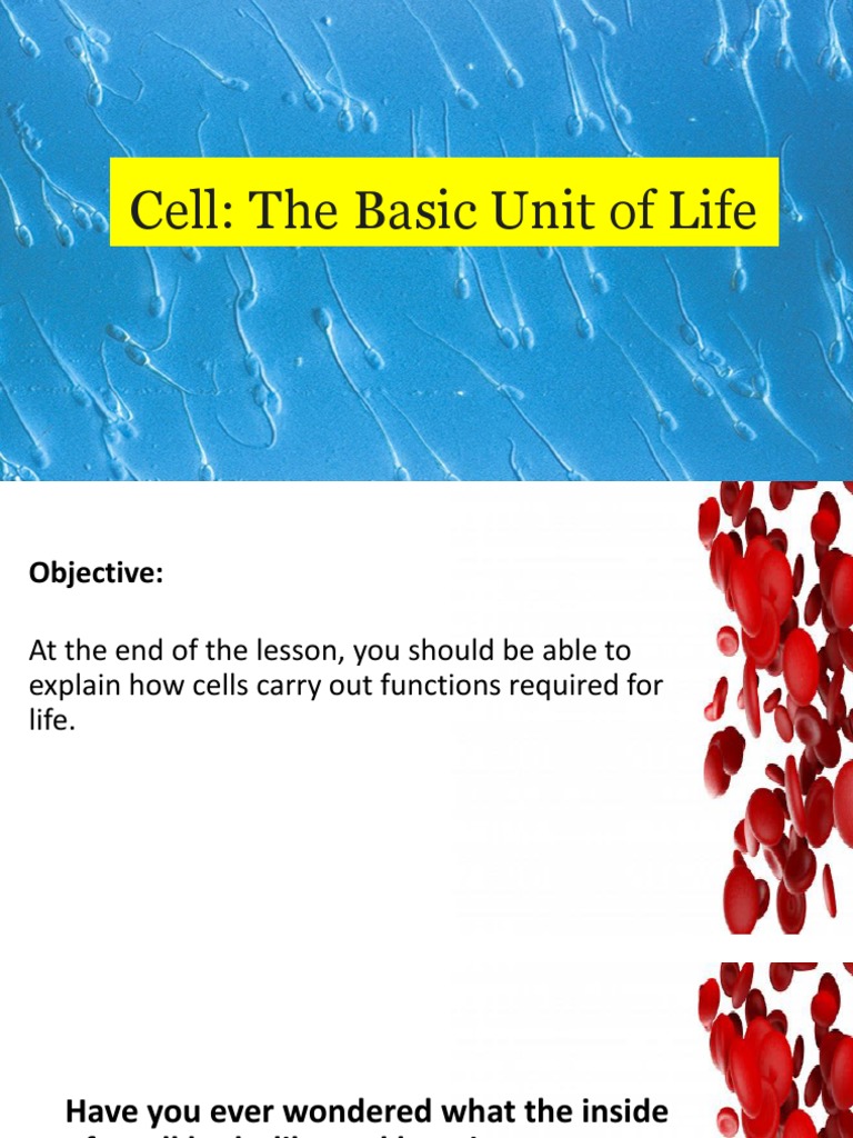 Lesson 5.1 Cell The Basic Unit of Life | PDF | Endoplasmic Reticulum ...