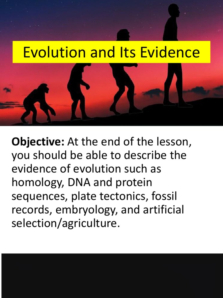 DNA Evidence in Evolutionary Theory | PDF | Homology (Biology) | Evolution