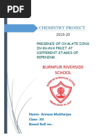 Chemistry Investigatory Project Presence of Oxalate Ions in Guava at ...