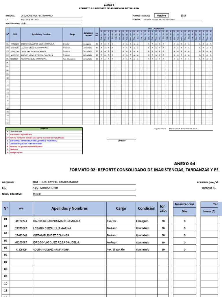 Parte Mensual Maritsa | PDF