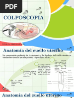ZONA DE TRANFORMACION EN COLPOSCOPIA - Dra. Isa Ma. de Mello | PDF ...
