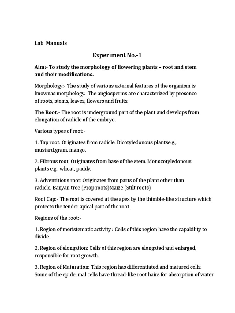 Experiment No.-1: Lab Manuals | PDF