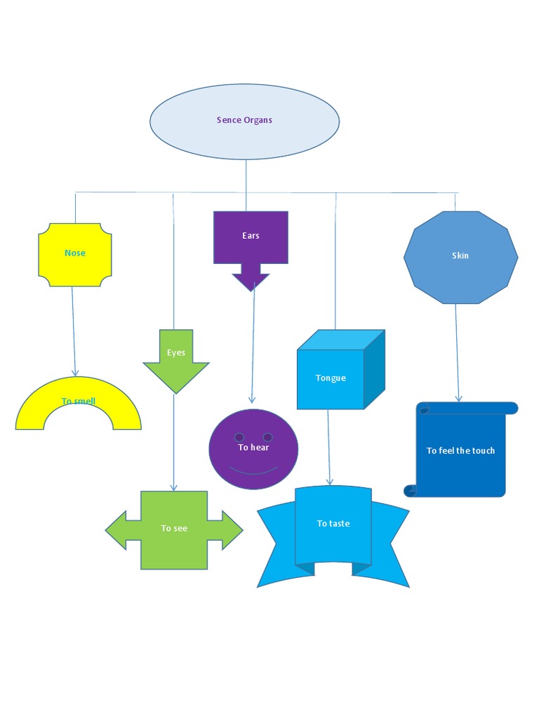 Sense Organs | PDF
