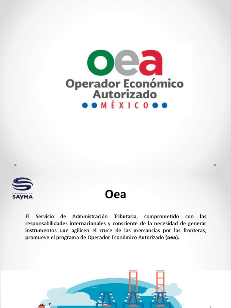 OEA | PDF | Logística | aduana