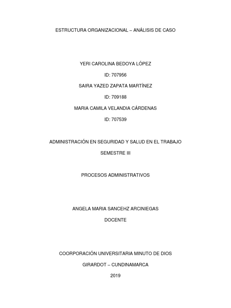 Estructura Organizacional Jerarjico | PDF | Planificación | Economias