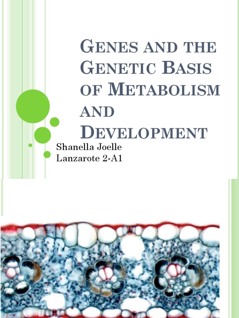 Understanding Genetics: From Genes to Genomes | PDF | Translation ...