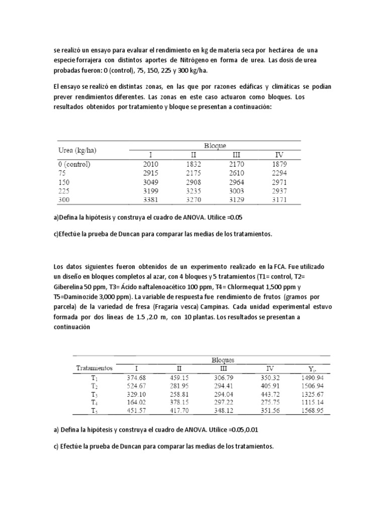 Ejercicio Dbca | PDF