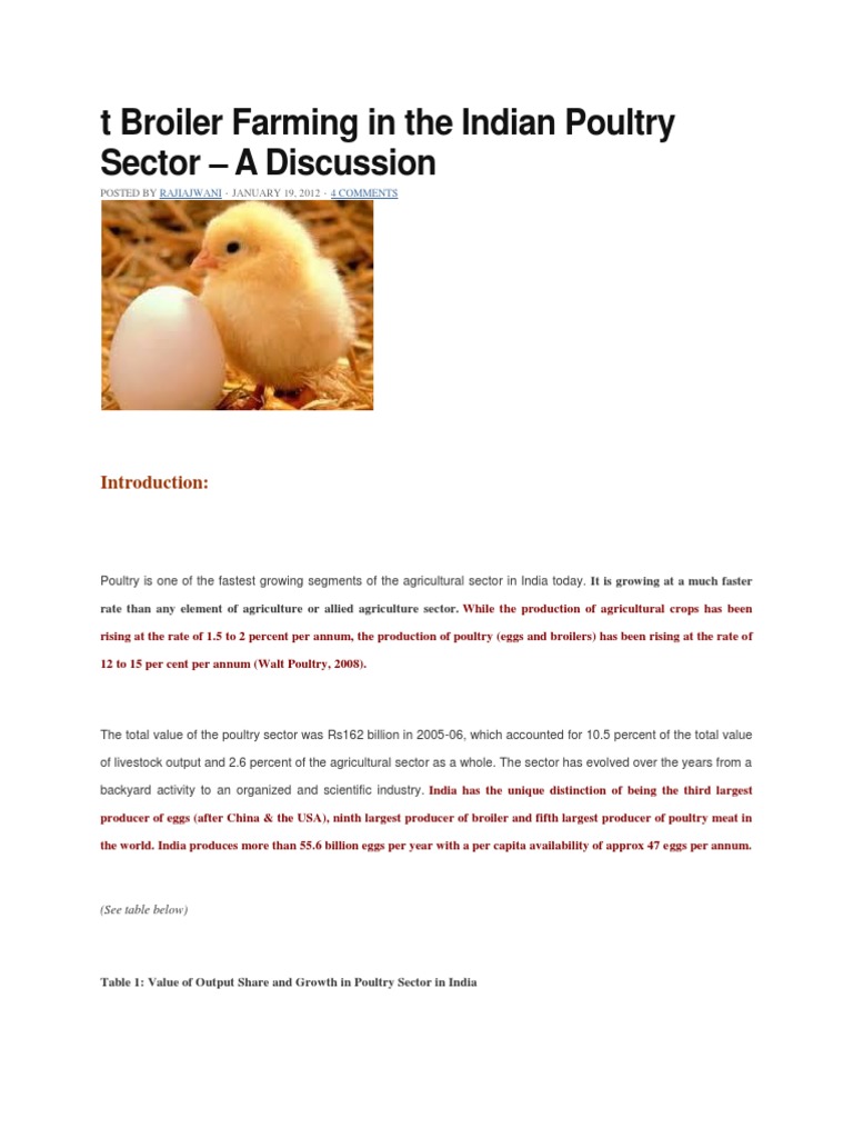 Broiler Farming in The Indian Poultry Sector | PDF | Poultry Farming ...