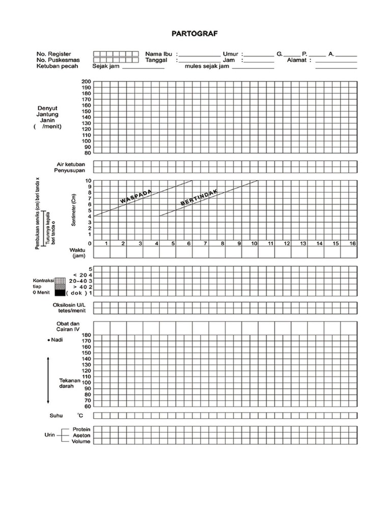 Format Partograf | PDF