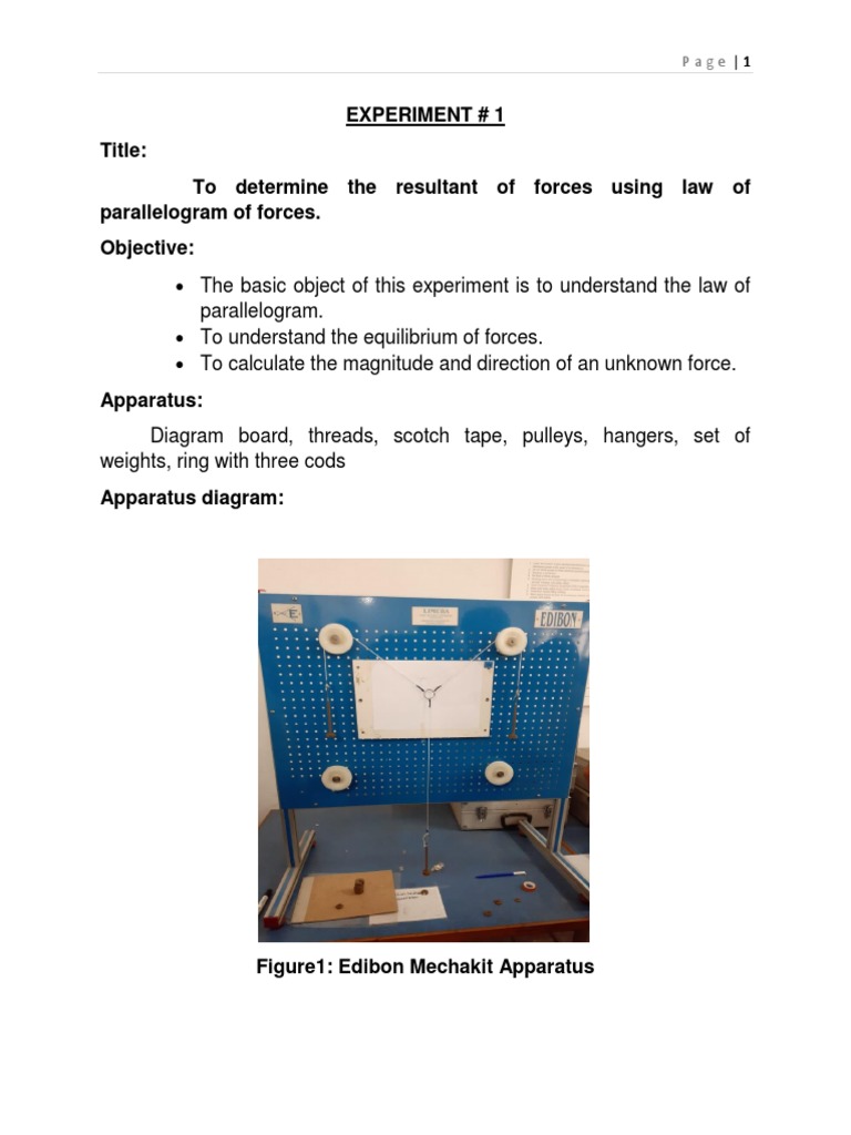Experiment 1 EM | PDF | Natural Philosophy | Force