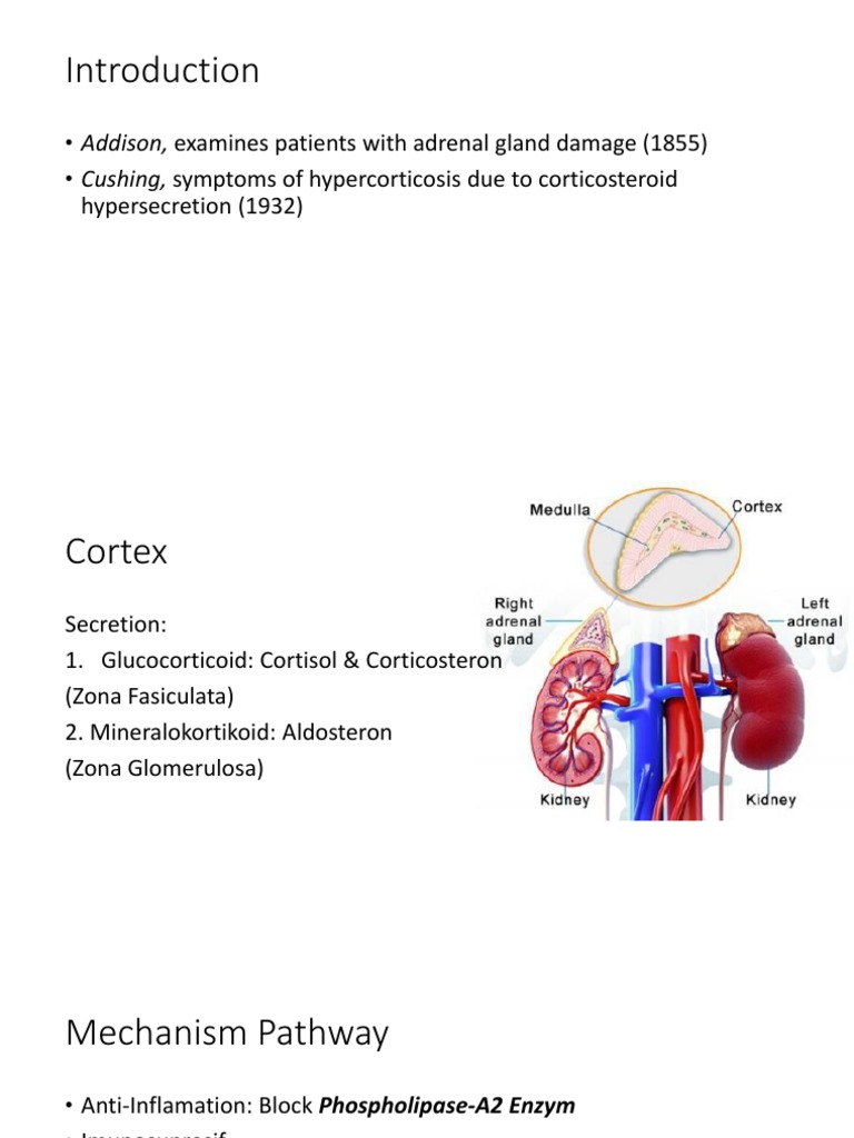 Kortikosteroid | PDF | Corticosteroid | Dermatitis
