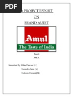 Financial Analysis of AMUL | PDF | Cash Flow Statement | Depreciation