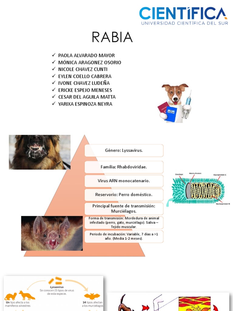 Rabia | Descargar gratis PDF | Rabia | Especialidades Medicas