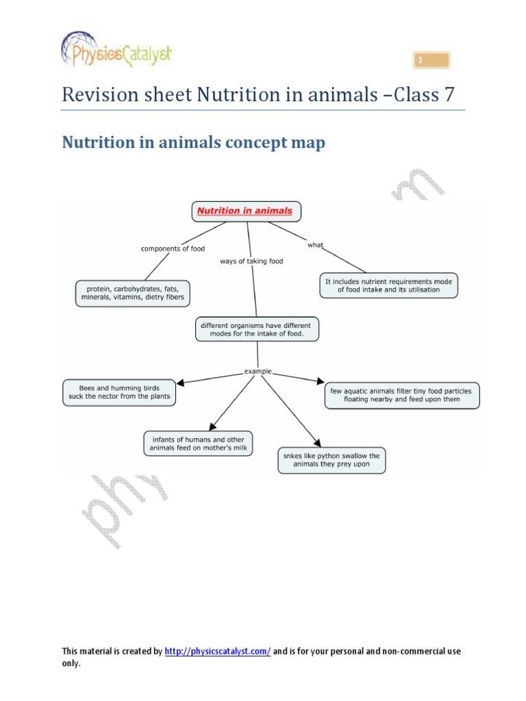 Revision Sheet Nutrition in Animals | PDF