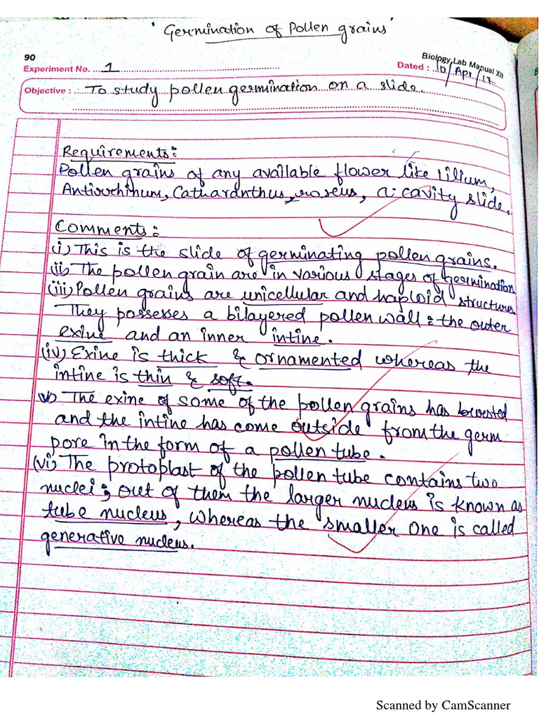 Biology Practical File Class XLL PDF | PDF