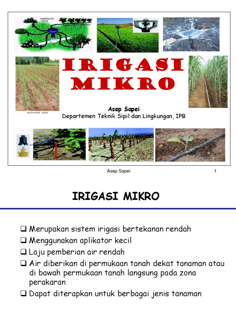 Skema Irigasi Mikro dan Keuntungannya | PDF