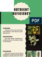Plant Deficiencies Symptom Chart PDF | PDF | Plant Nutrition | Branches ...