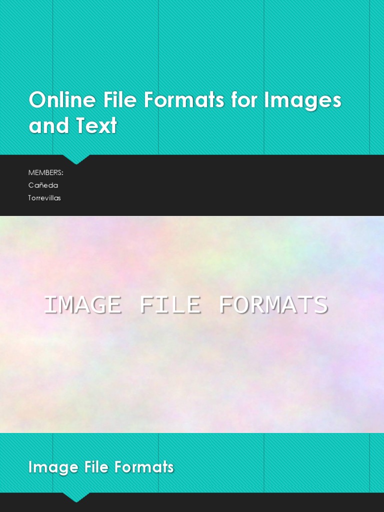 Online File Formats For Images and Text | PDF | Digital Image | File Format