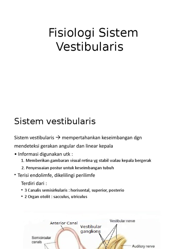 Fisiologi Vestibularis | PDF