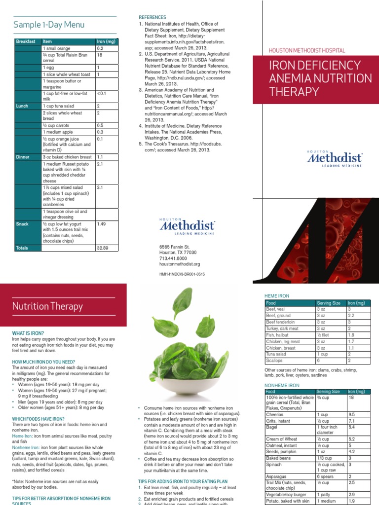 Iron Deficiency Anemia Nutrition Therapy: Sample 1-Day Menu | PDF ...