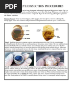 Cow Eye Dissection Lab Report | PDF | Eye | Human Eye