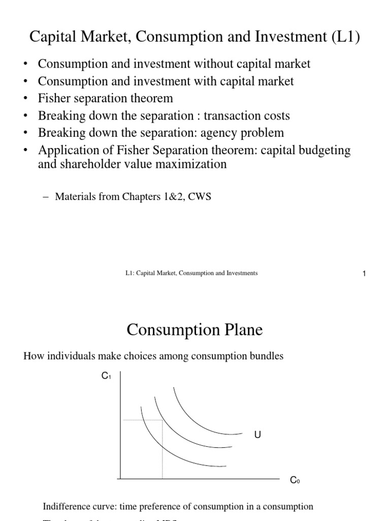 Understanding the Relationship Between Capital Markets, Consumption, Investment and Fisher's ...