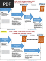 EASA Form 19 Application Guide | PDF | Information Privacy | Aircraft