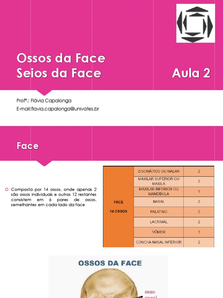 Ossos e Seios Da Face | PDF | Seio | Anatomia
