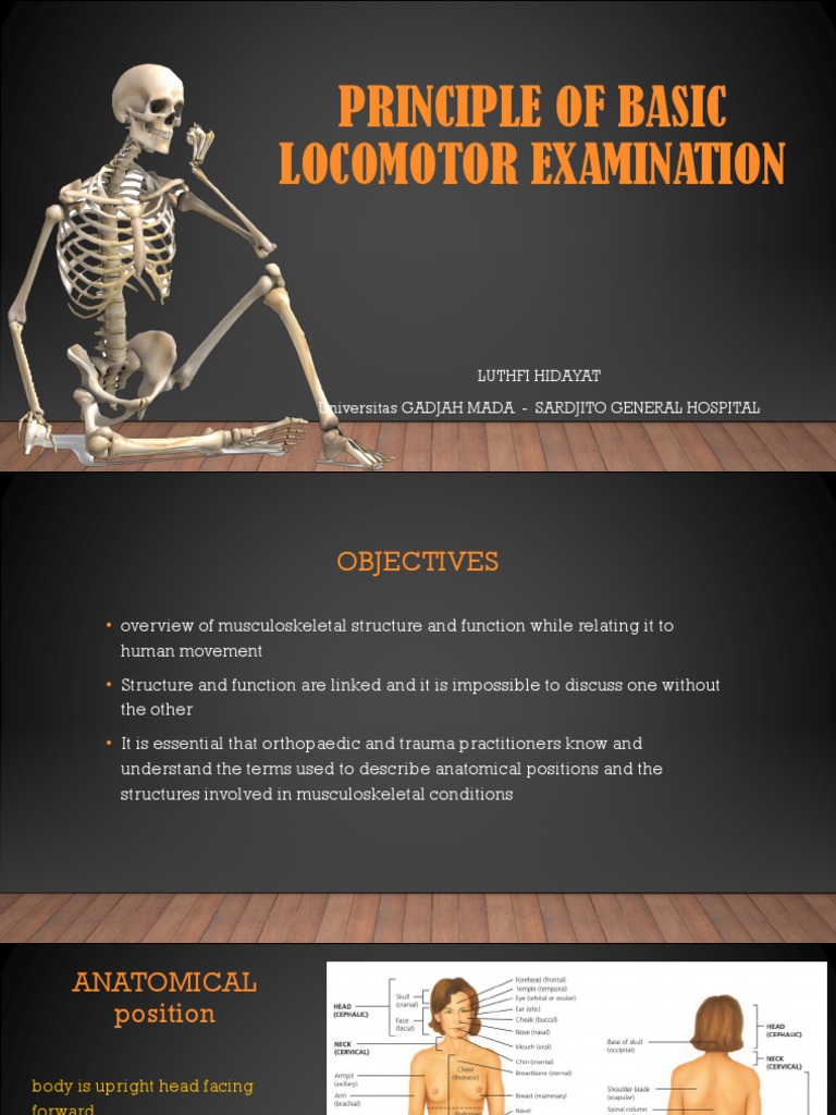 Basic Locomotor Examination Principles | PDF | Anatomical Terms Of ...