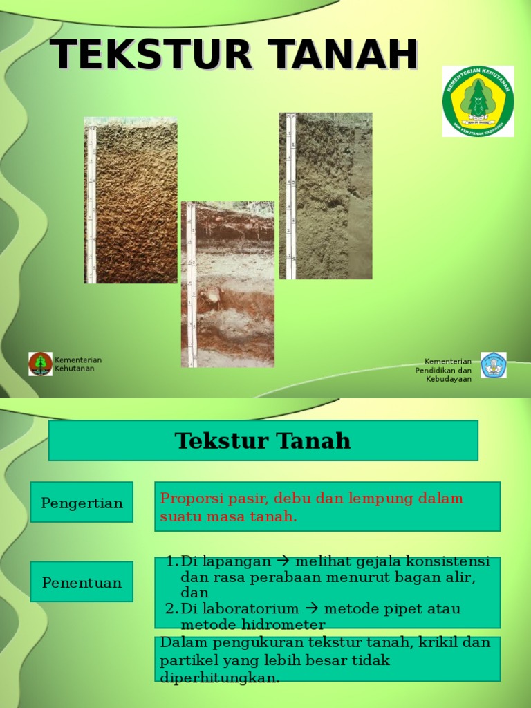 Tekstur Tanah | PDF