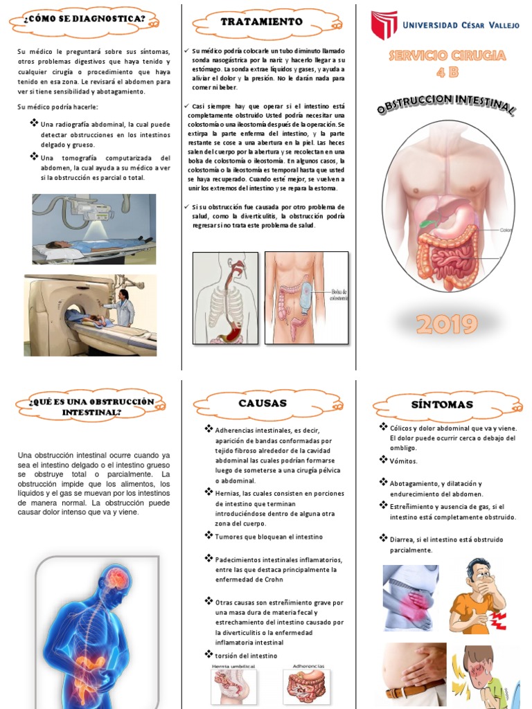 Obstruccion Intestinal | PDF | Abdomen | Estreñimiento