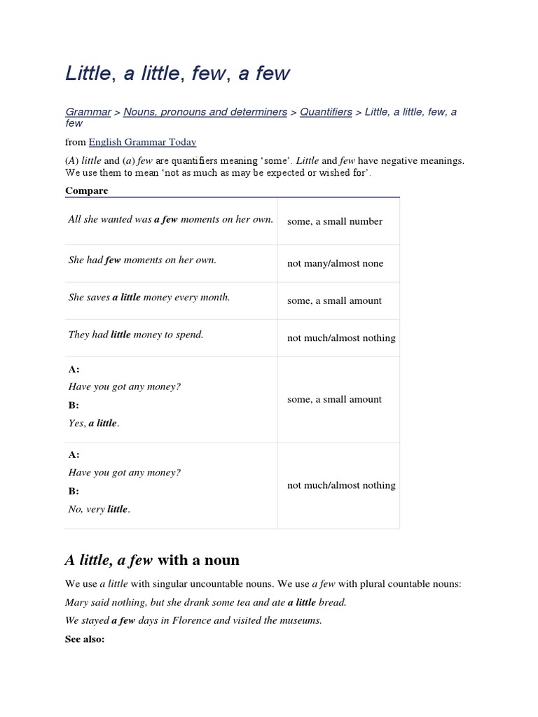 Little, A Little, Few, A Few | PDF | Noun | English Grammar